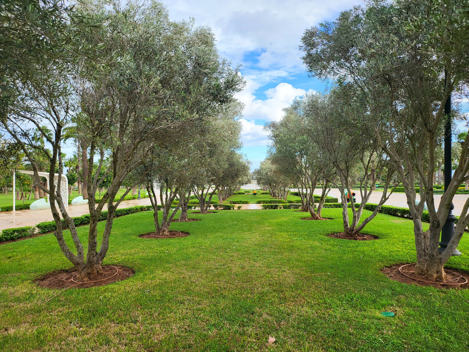 Home | Rabat ville verte